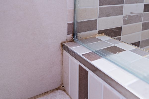 How to Remove Mold and Mildew in Your Grout | Grout Shield | Grout ...